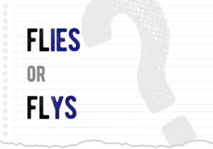 Flies or flys – which form is correct? What is the difference?